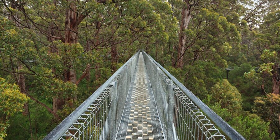 10 Best Things To Do In Pemberton W.A. - Andalucia